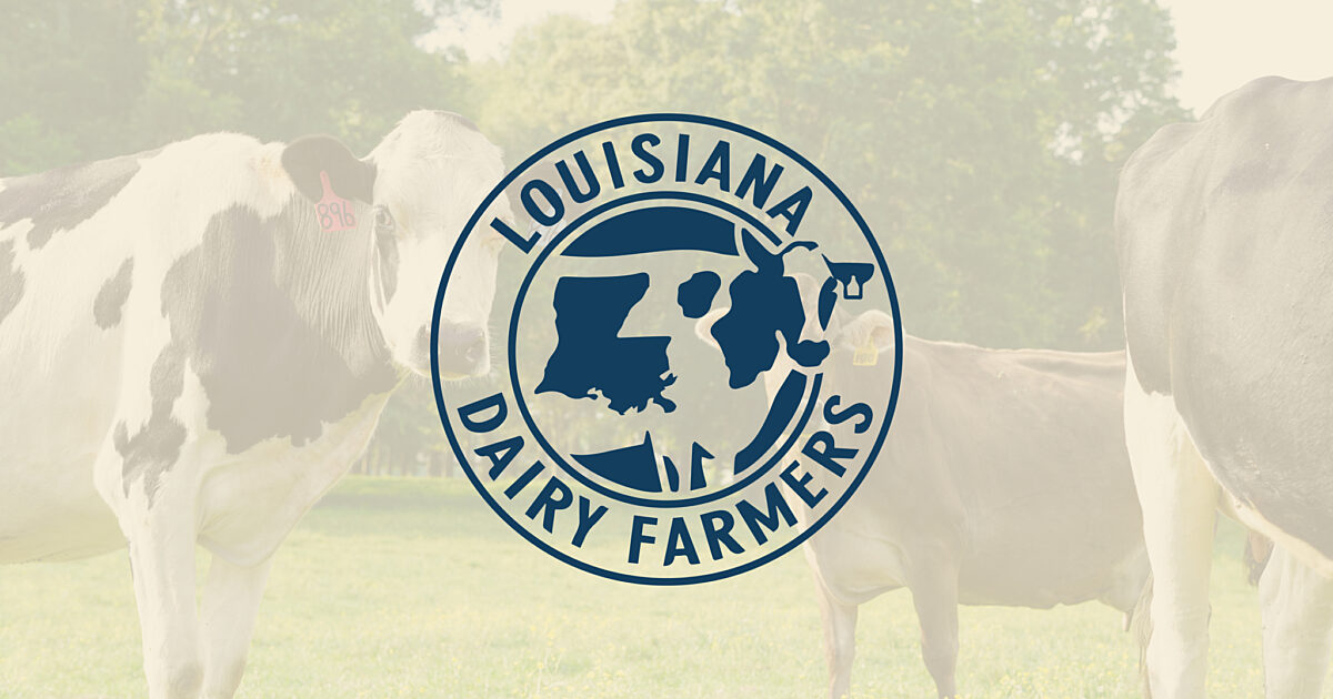 Louisiana Dairy Farmers | Rockit Science Agency